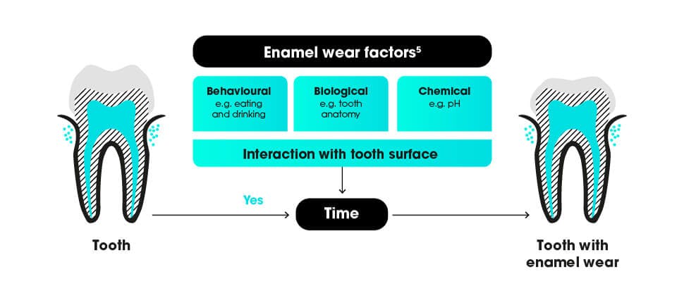 Erosive Tooth Wear - Causes & Mechanism | Haleon HealthPartner